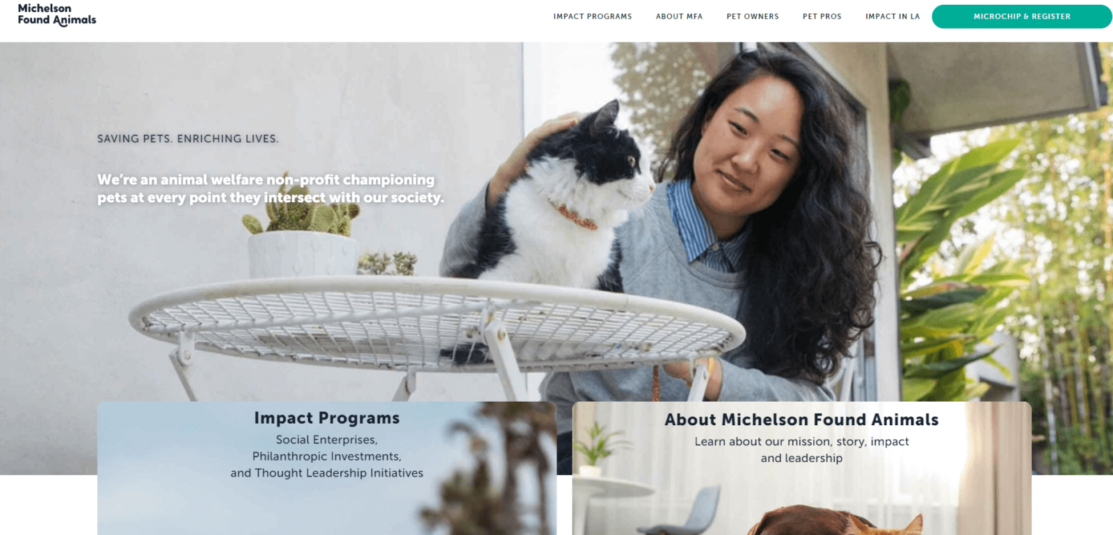 7 Best Lost Dog Websites Help Bring Lost Dog Home - The Fit Pets