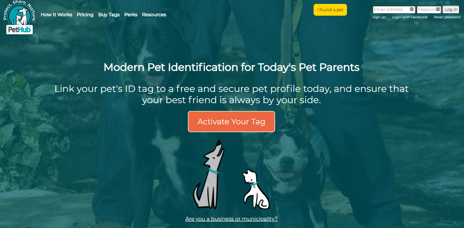 7 Best Lost Dog Websites Help Bring Lost Dog Home - The Fit Pets