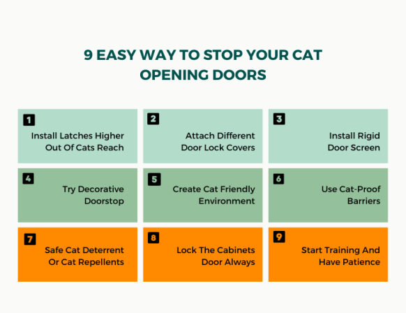 How To Stop A Cat From Opening Doors (9 Ways to Stop)